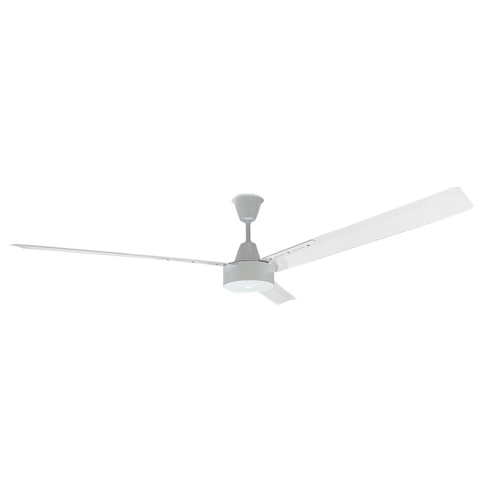 Solent Albatross 3 Blade Ceiling Fan 1650mm - White – Livecopper