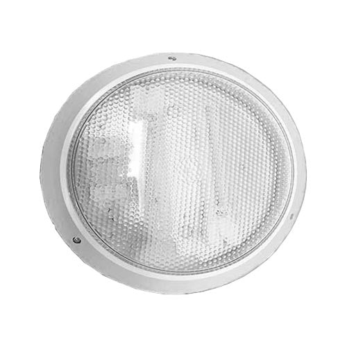Centurion 2 x PL9 Bulkhead - Clear – Livecopper